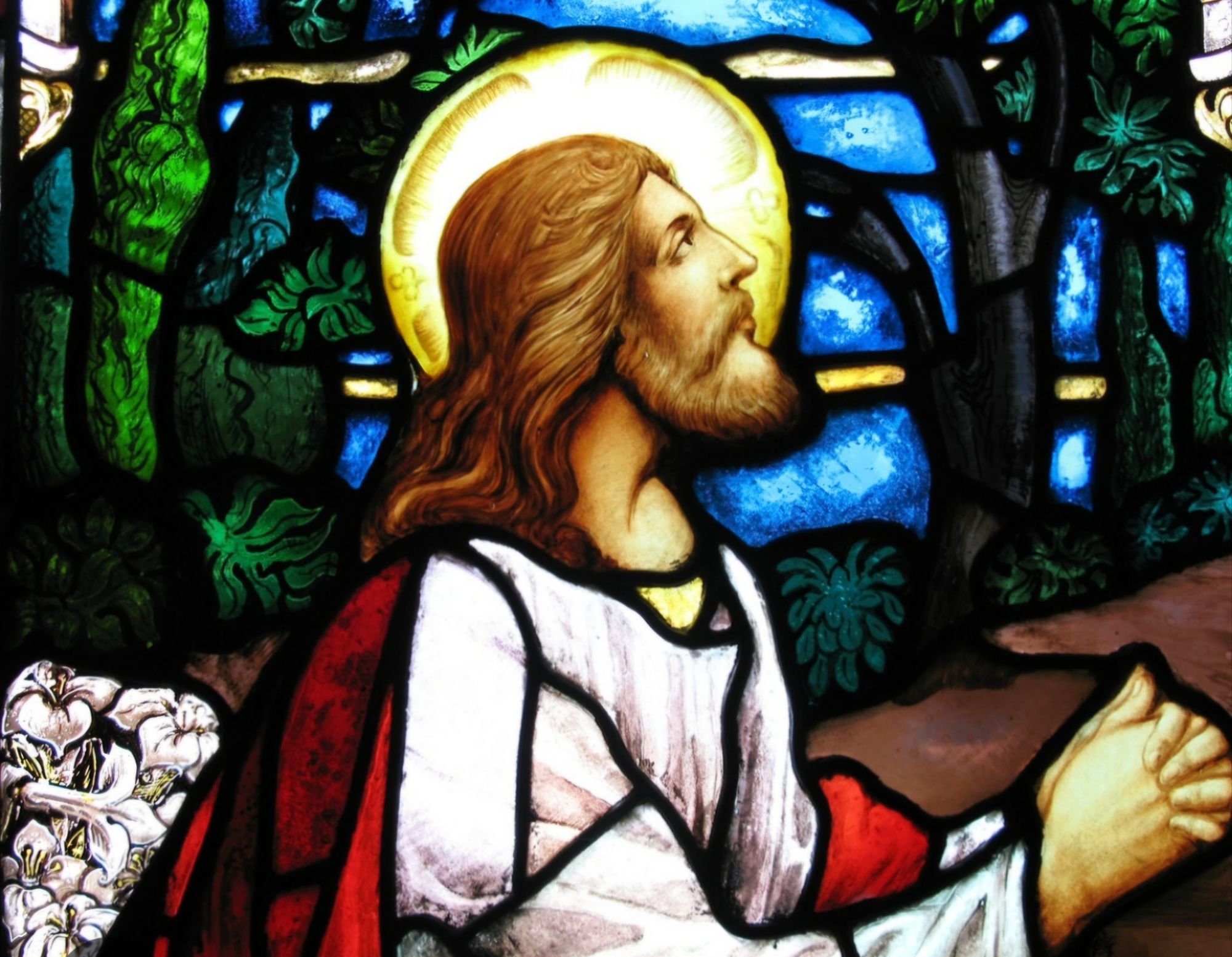 On Today’s Gospel | CatholicJules.net
