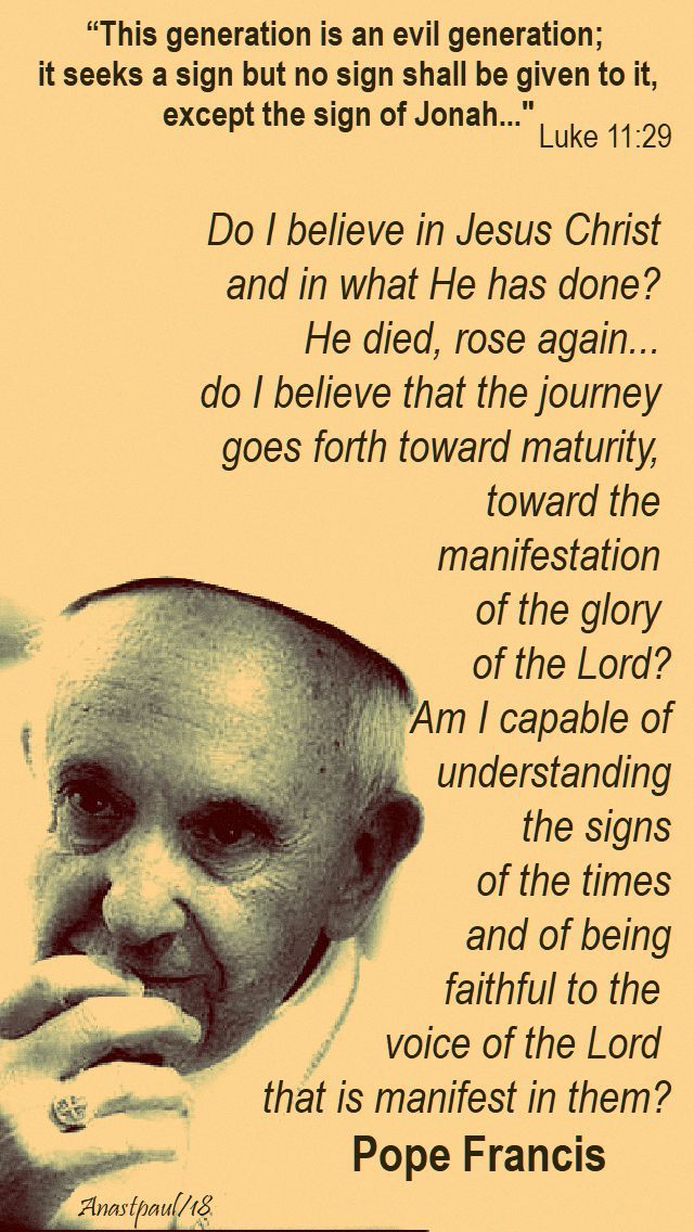 On Today’s Gospel | CatholicJules.net