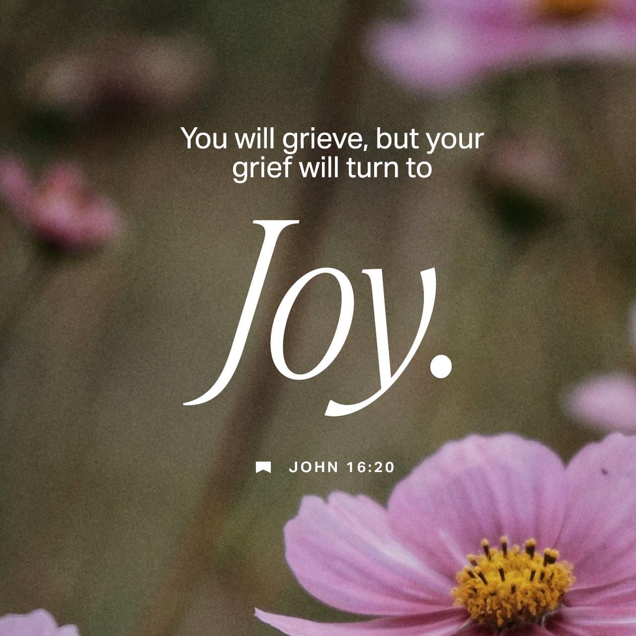 On Today’s Gospel | CatholicJules.net